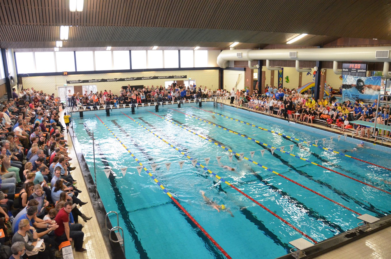 De Biesboschzwemmers (teamBBZ) - De Zijl Leiden